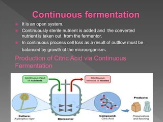 Microbial fermentation By Aneela Saleem | PPT