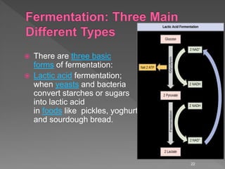 Microbial fermentation By Aneela Saleem | PPT