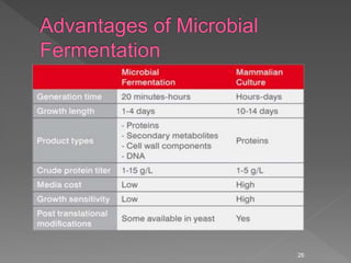 Microbial fermentation By Aneela Saleem | PPT