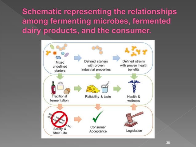 Microbial fermentation By Aneela Saleem | PPT