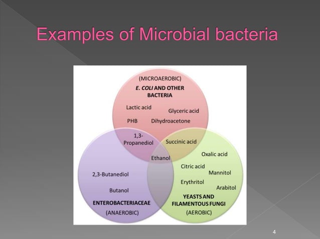 Microbial fermentation By Aneela Saleem | PPT