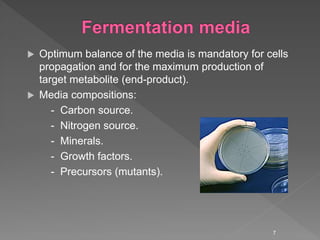 Microbial fermentation By Aneela Saleem | PPT