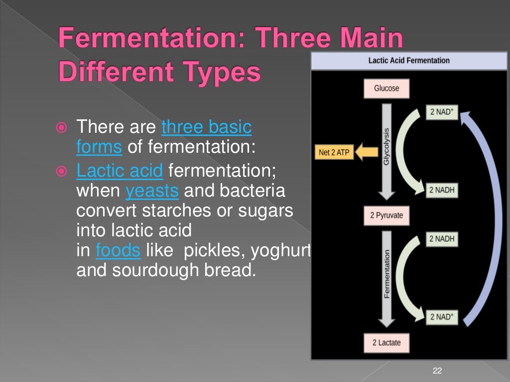 Microbial fermentation By Aneela Saleem