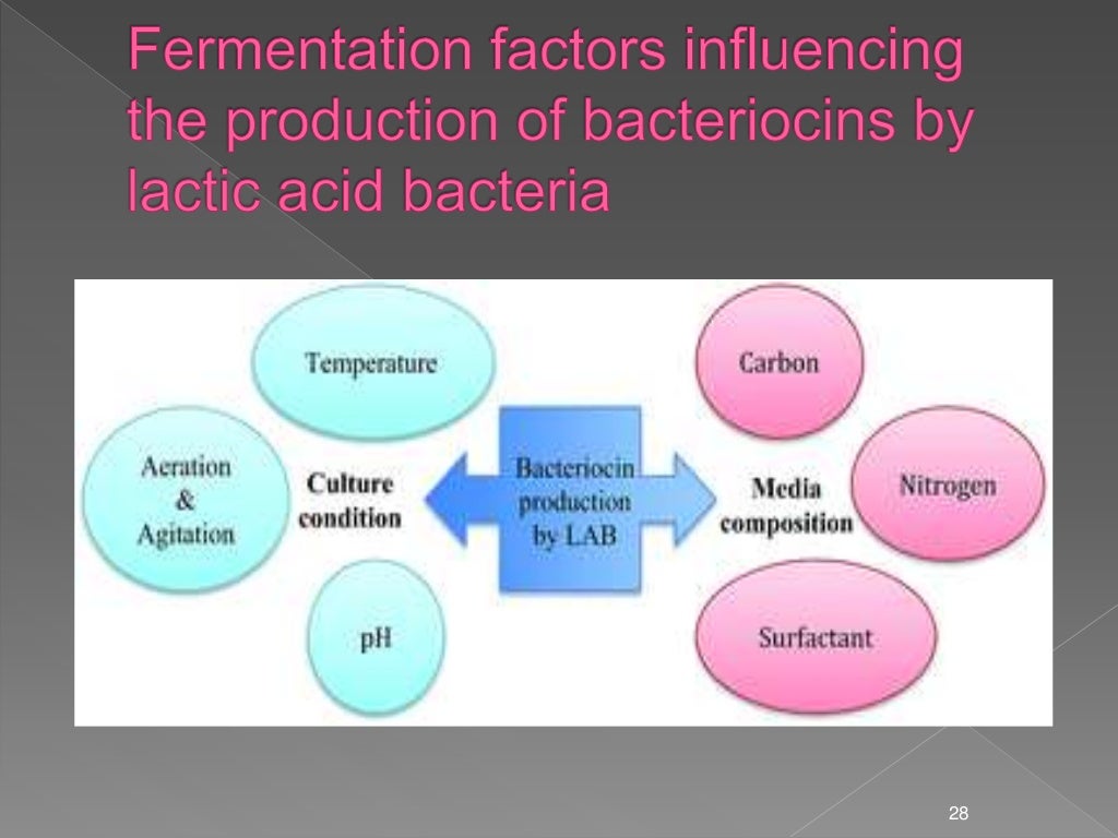 Microbial fermentation By Aneela Saleem