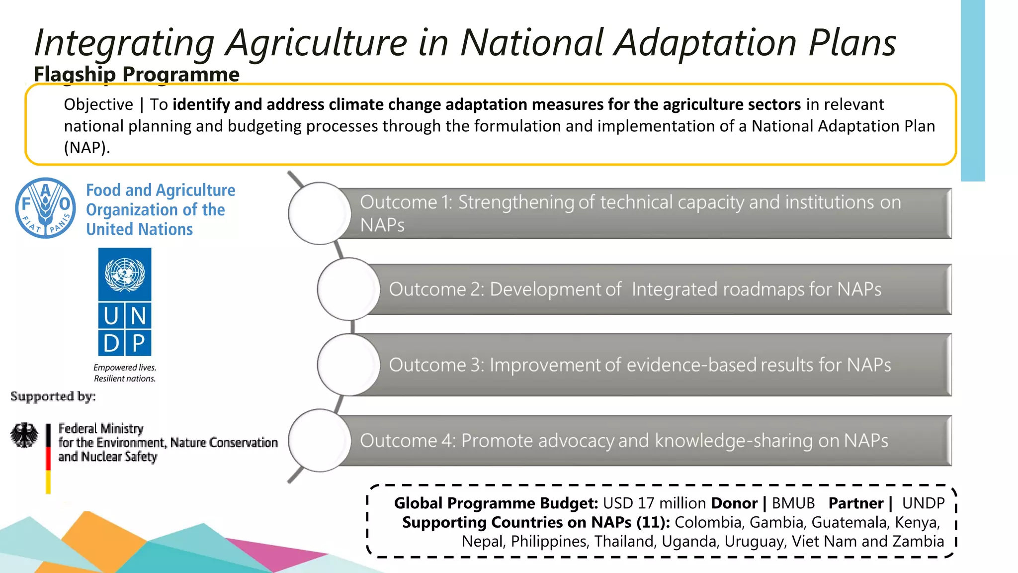 Addressing agriculture, forestry and fisheries in national adaptation plans | PPT