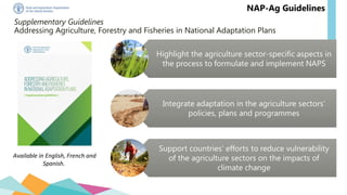 Addressing agriculture, forestry and fisheries in national adaptation plans | PPT