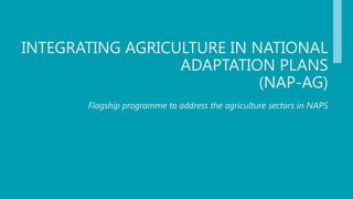 Addressing agriculture, forestry and fisheries in national adaptation plans | PPT