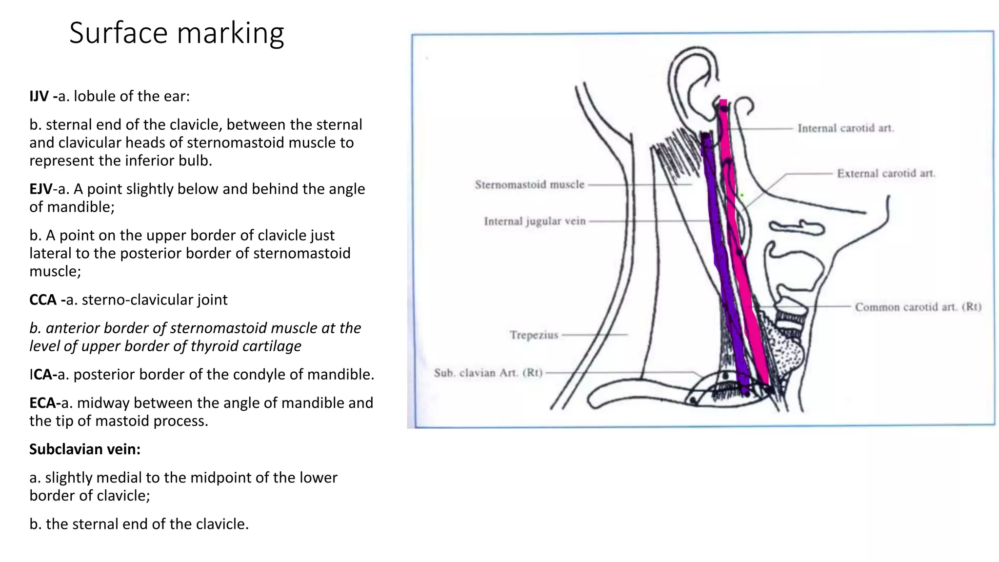 Final ppt neck swelling.pptx