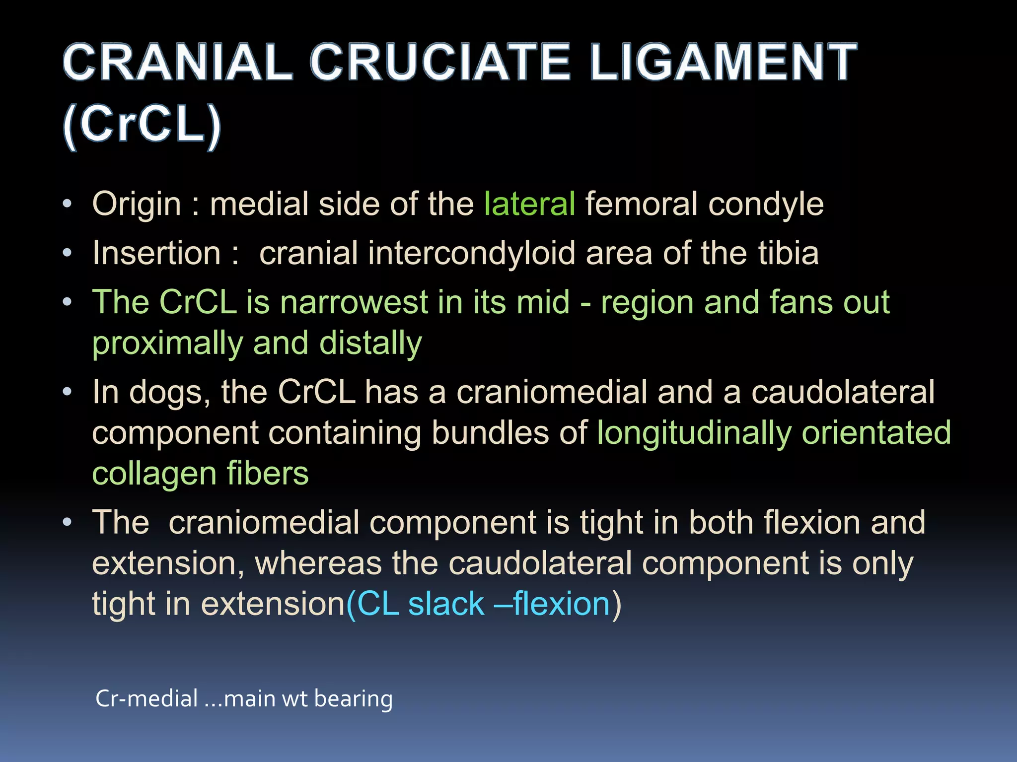 Management of cruciate ligaments in dogs.pdf | Death, Injury, or ...