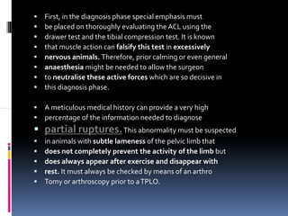 Management of cruciate ligaments in dogs.pdf