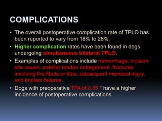 Management of cruciate ligaments in dogs.pdf