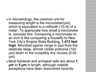 Microscope and Microscopy | PPT