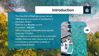 Maldives Toursim | PPTX