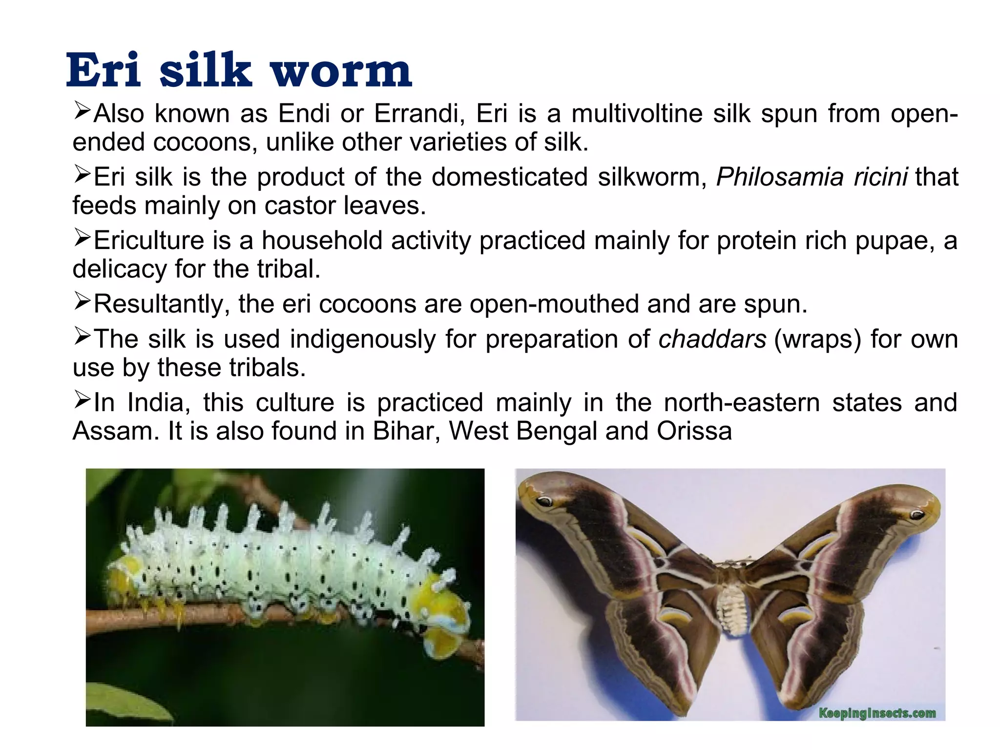 Sericulture; Rearing and Economics | PPT