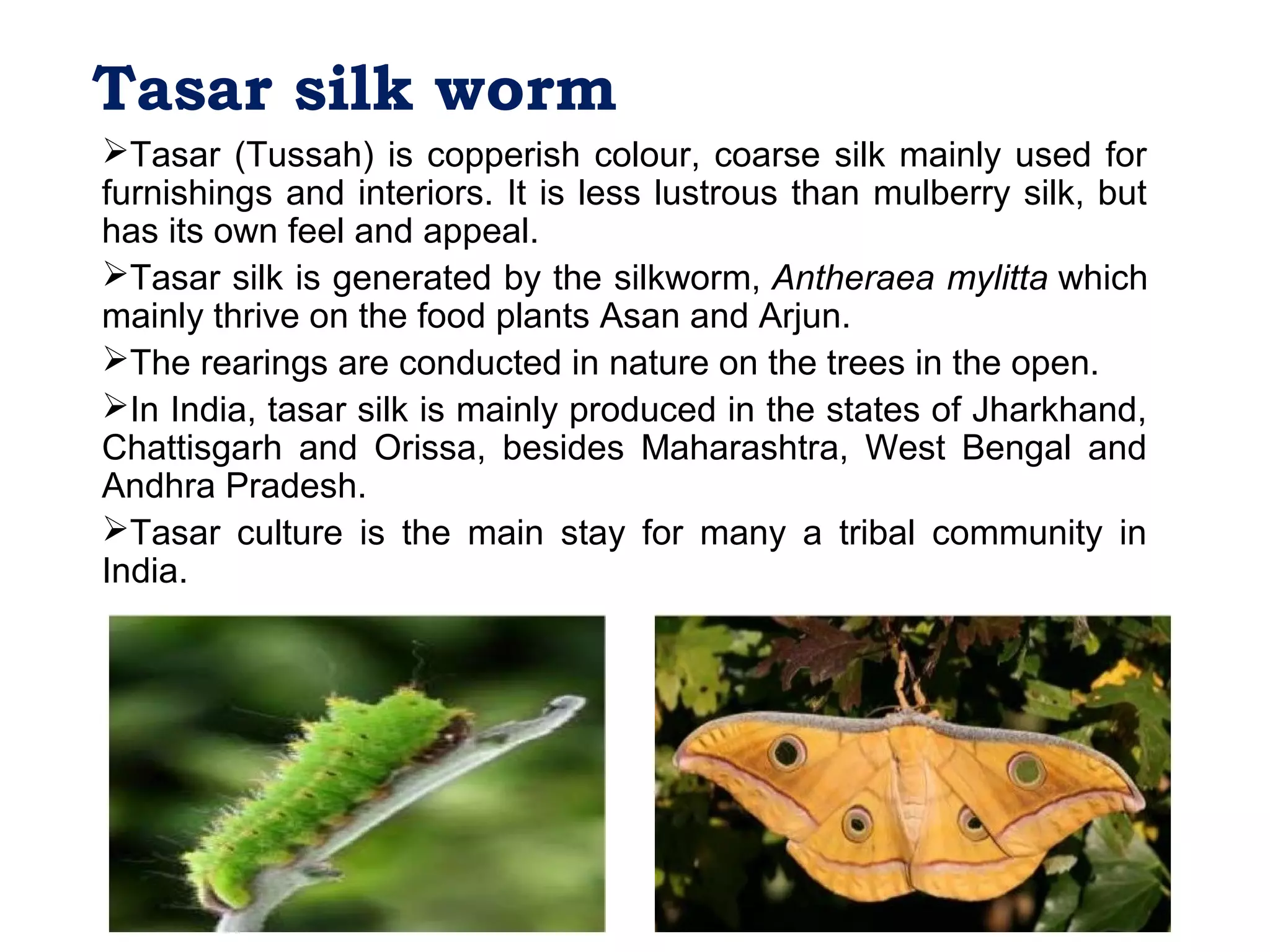 Sericulture; Rearing and Economics | PPT