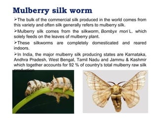 Sericulture; Rearing and Economics | PPT