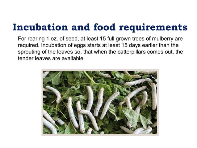 Sericulture; Rearing and Economics | PPT