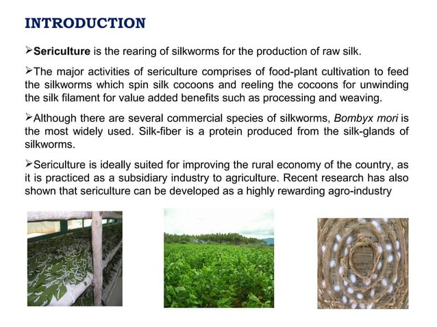 Sericulture; Rearing and Economics | PPT