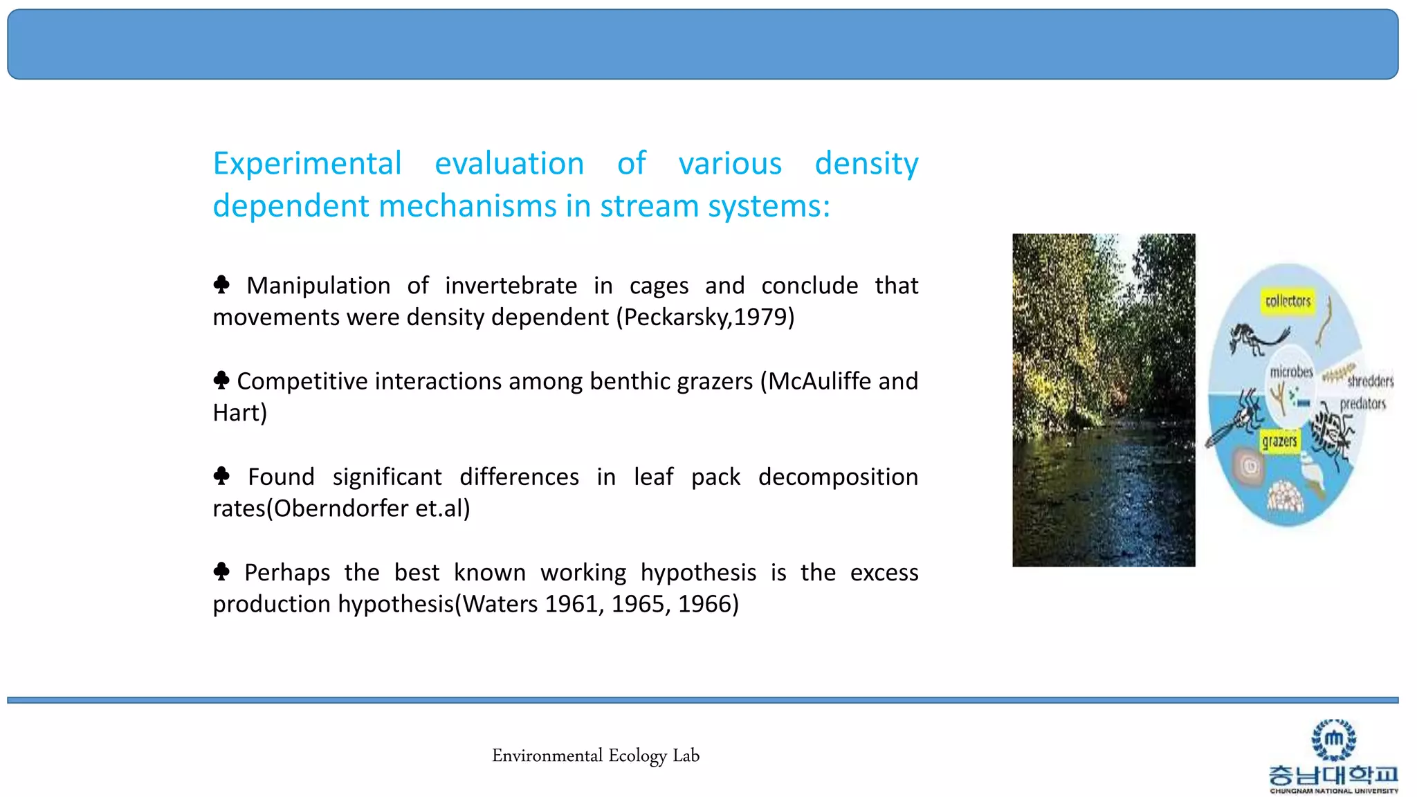 Final ppt of stream ecology 1 | PPTX