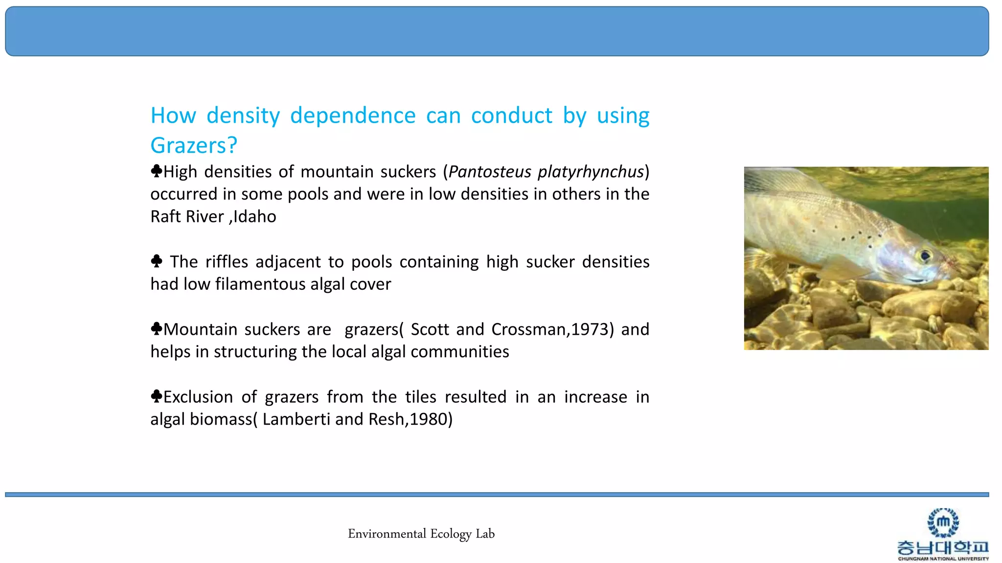 Final ppt of stream ecology 1 | PPTX