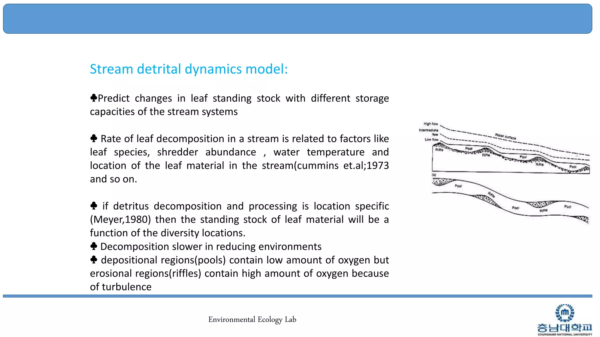 Final ppt of stream ecology 1 | PPTX