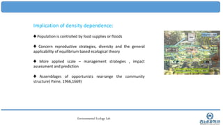 Final ppt of stream ecology 1 | PPTX