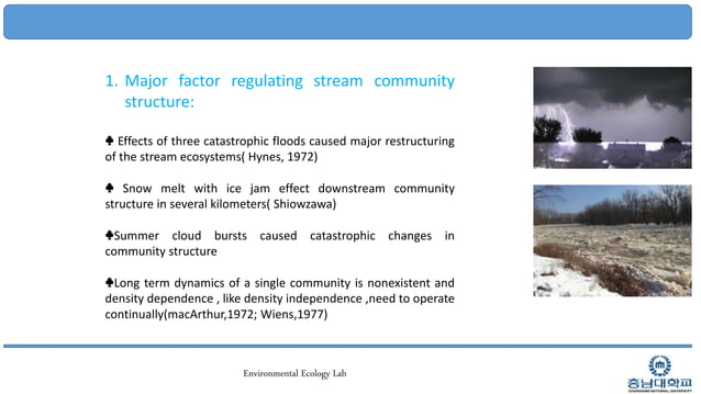 Final ppt of stream ecology 1 | PPTX