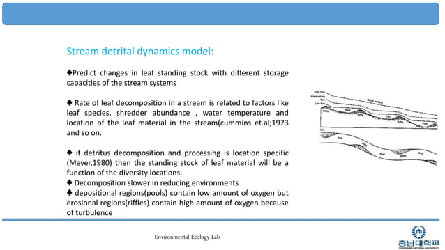 Final ppt of stream ecology 1 | PPTX