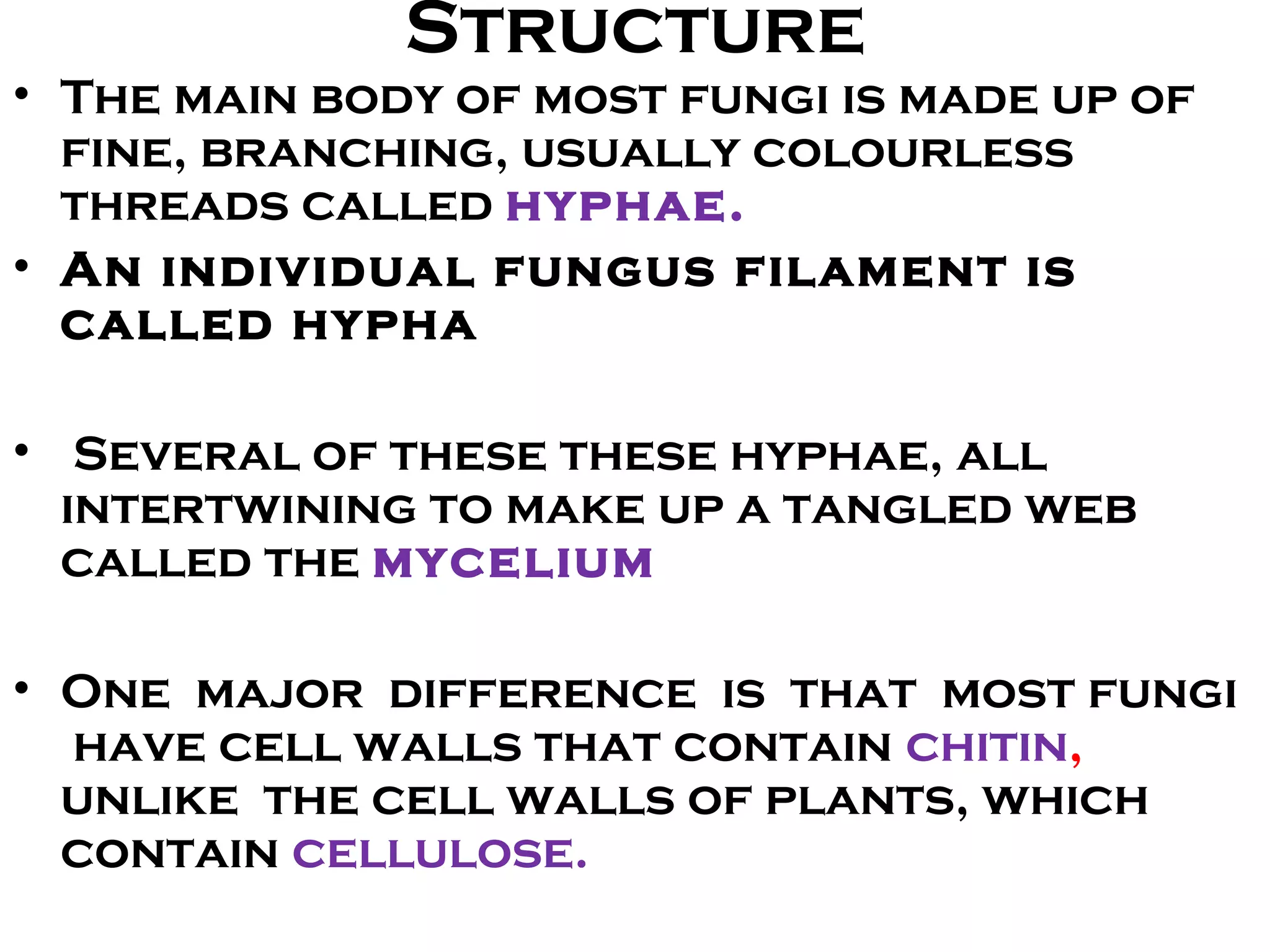 Final ppt on fungal diseases | PPT