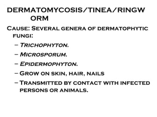 Final ppt on fungal diseases | PPT