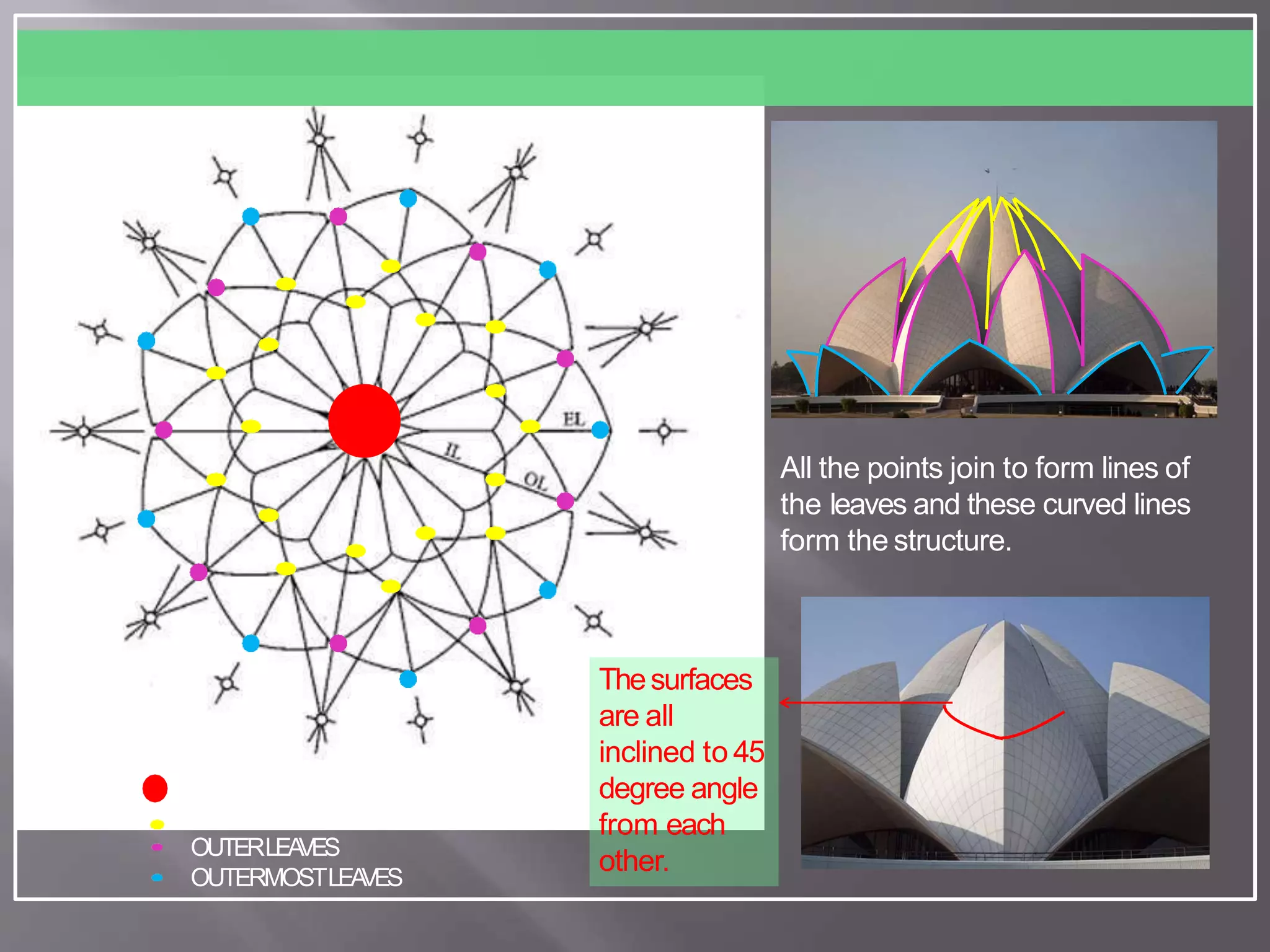 Final ppt on lotus | PPTX