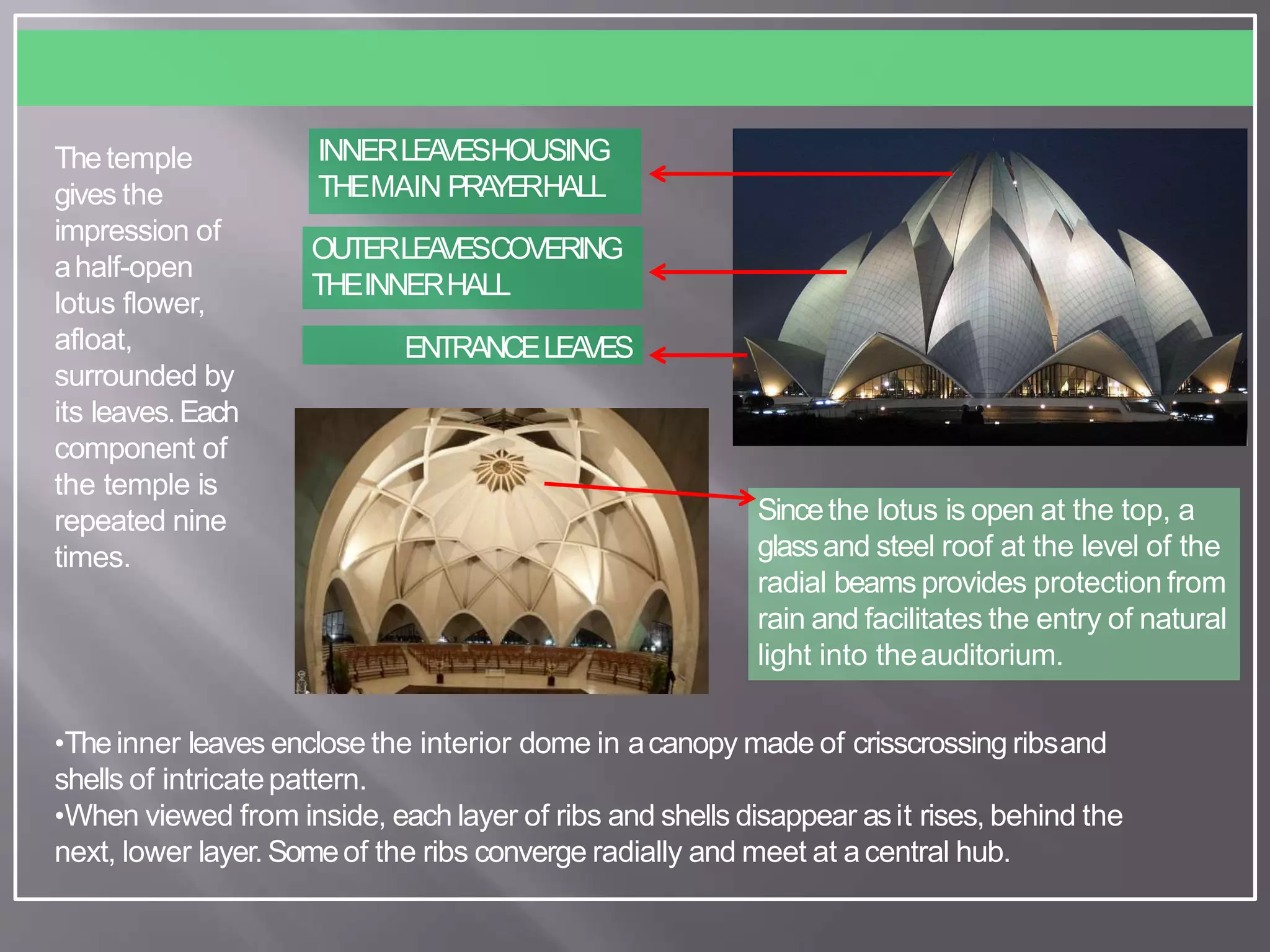 Final ppt on lotus | PPTX
