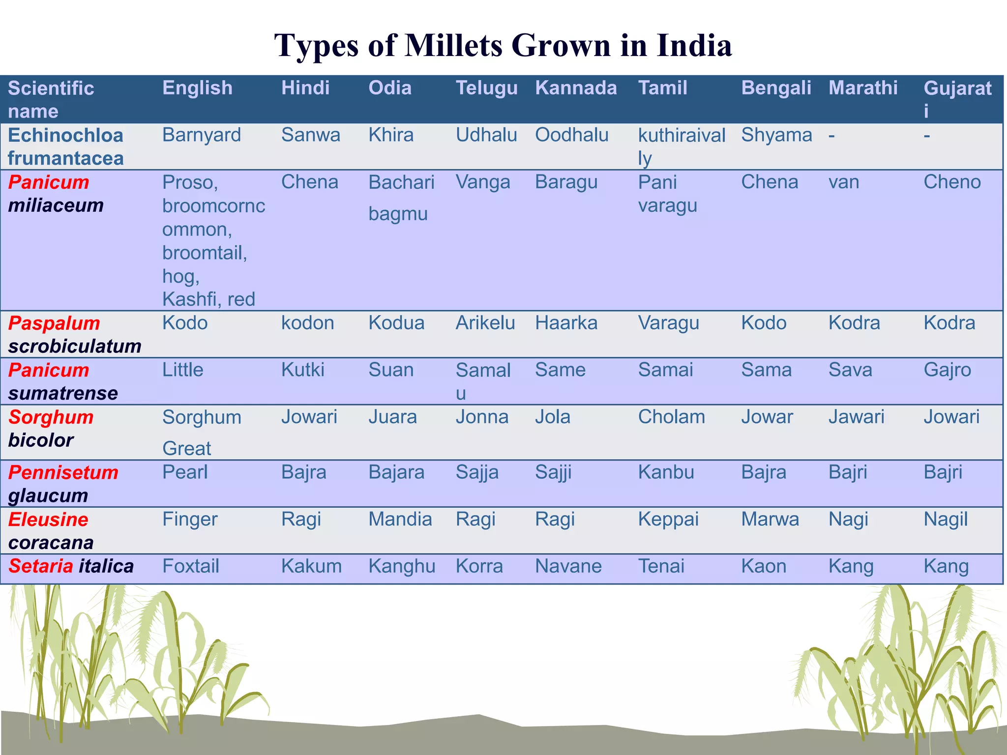 Status, Scope and challenges in Millet processing | PPTX