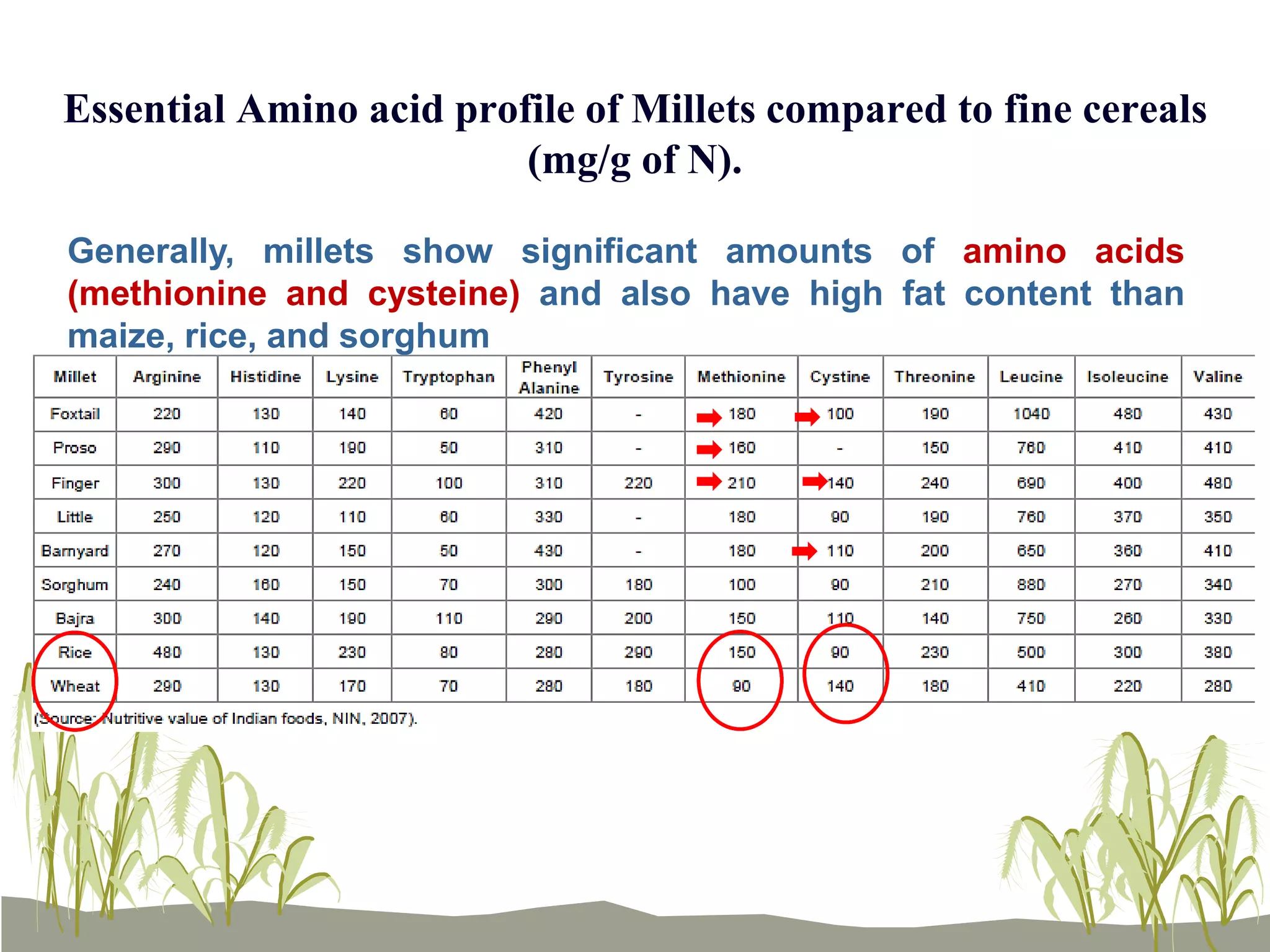 Status, Scope and challenges in Millet processing | PPTX