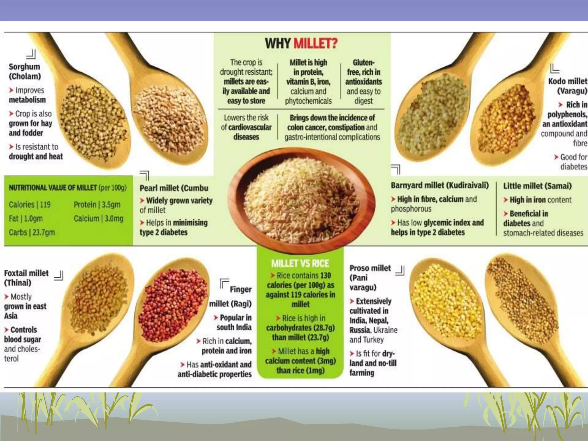 Status, Scope and challenges in Millet processing | PPTX