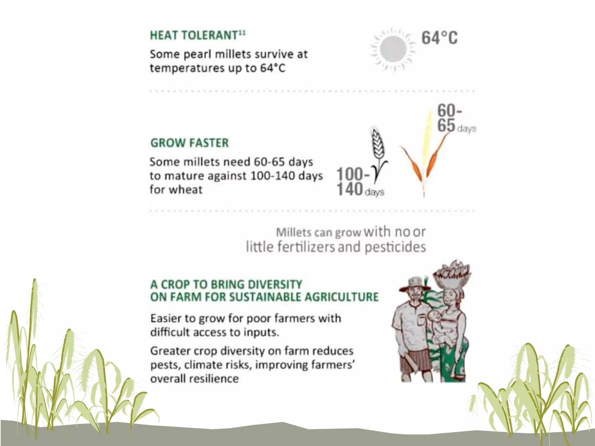Status, Scope and challenges in Millet processing | PPTX
