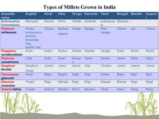 Status, Scope and challenges in Millet processing | PPTX