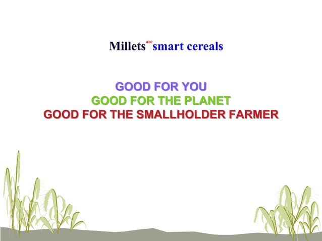 Status, Scope and challenges in Millet processing | PPTX | Commodities ...