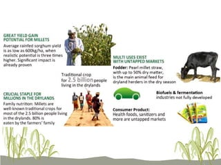 Status, Scope and challenges in Millet processing | PPTX