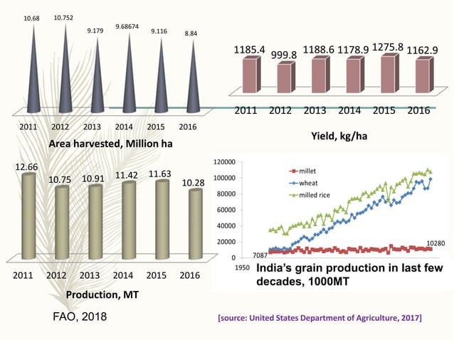 Status, Scope and challenges in Millet processing | PPTX | Commodities ...