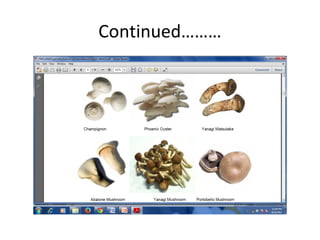 Final ppt on mushroom | PPT