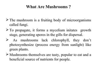 Final ppt on mushroom | PPT