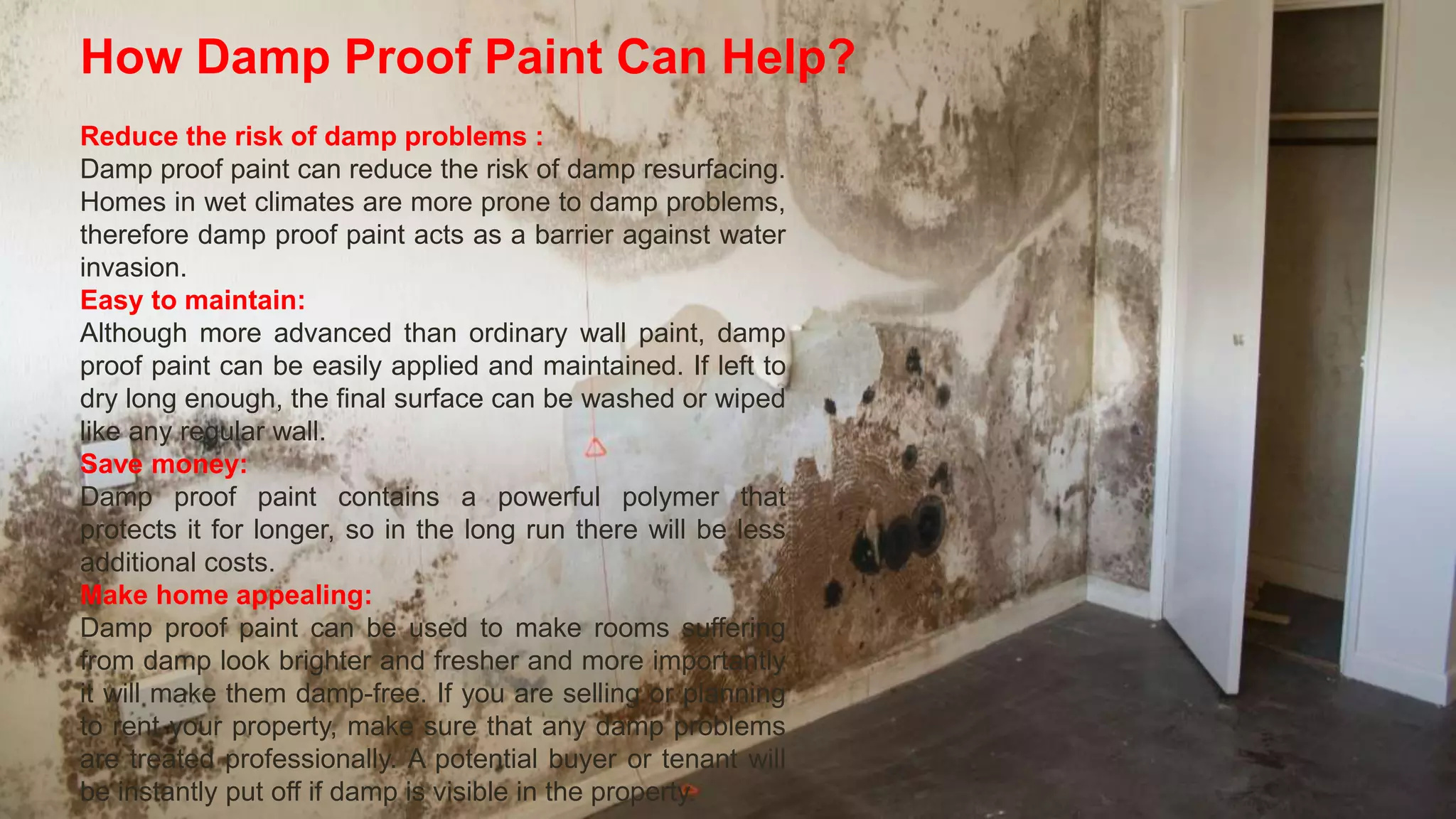 Paints over damp surface | PPT