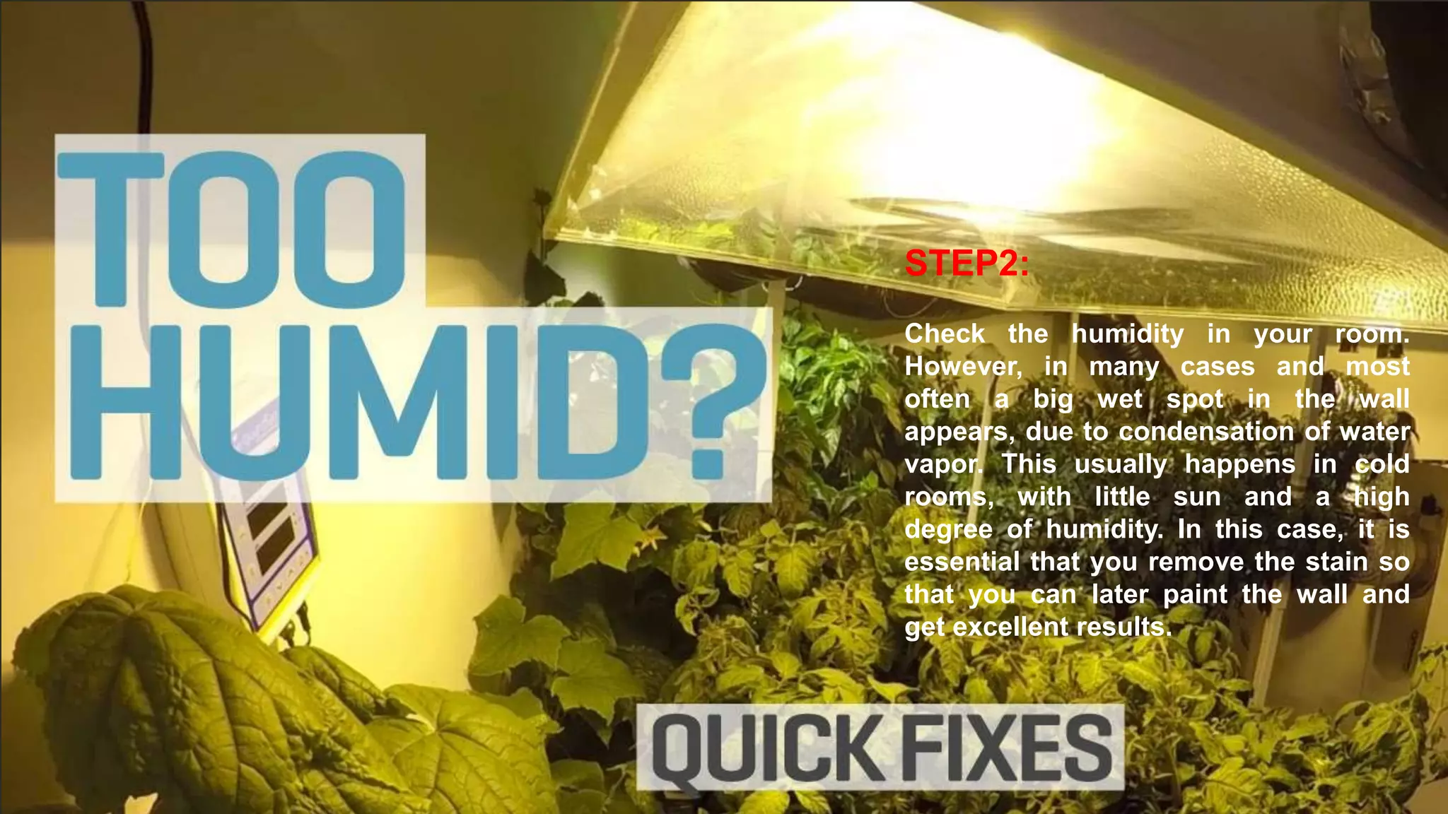 Paints over damp surface | PPT