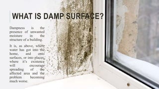 Paints over damp surface | PPT