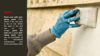 Paints over damp surface | PPT