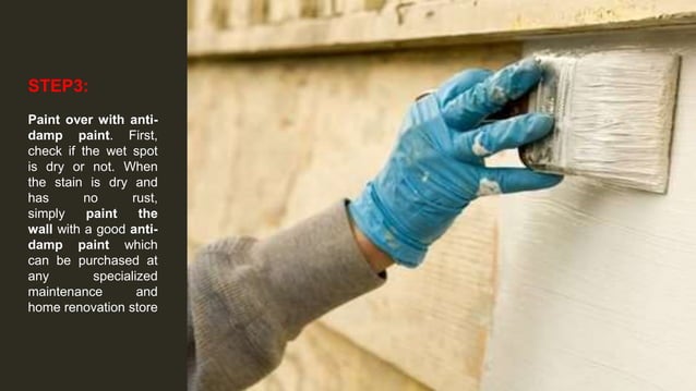 Paints over damp surface | PPT