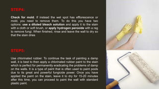 Paints over damp surface | PPTX