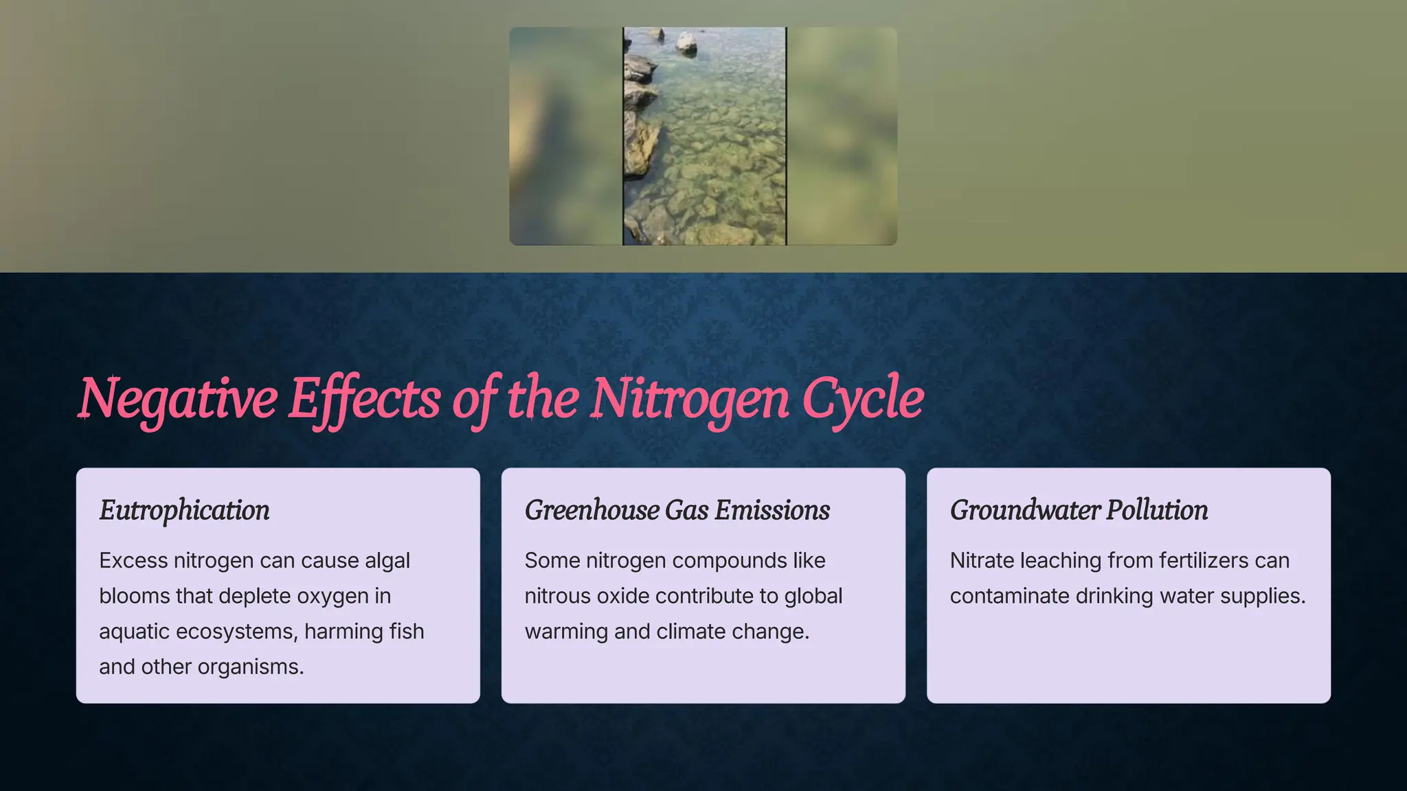 Nitrogen , sulphur, phosphorus cycle PPT PDF.pdf