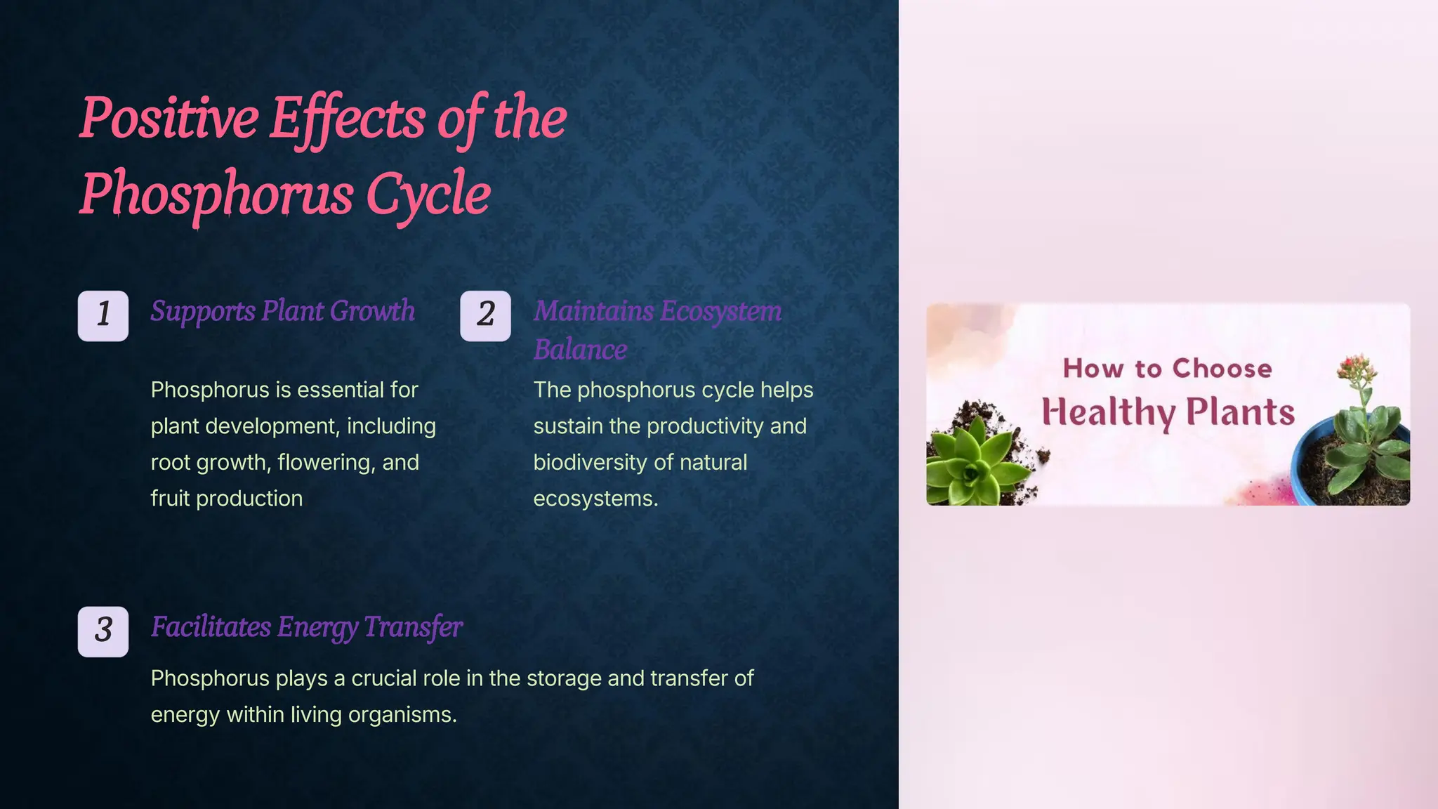 Nitrogen , sulphur, phosphorus cycle PPT PDF.pdf